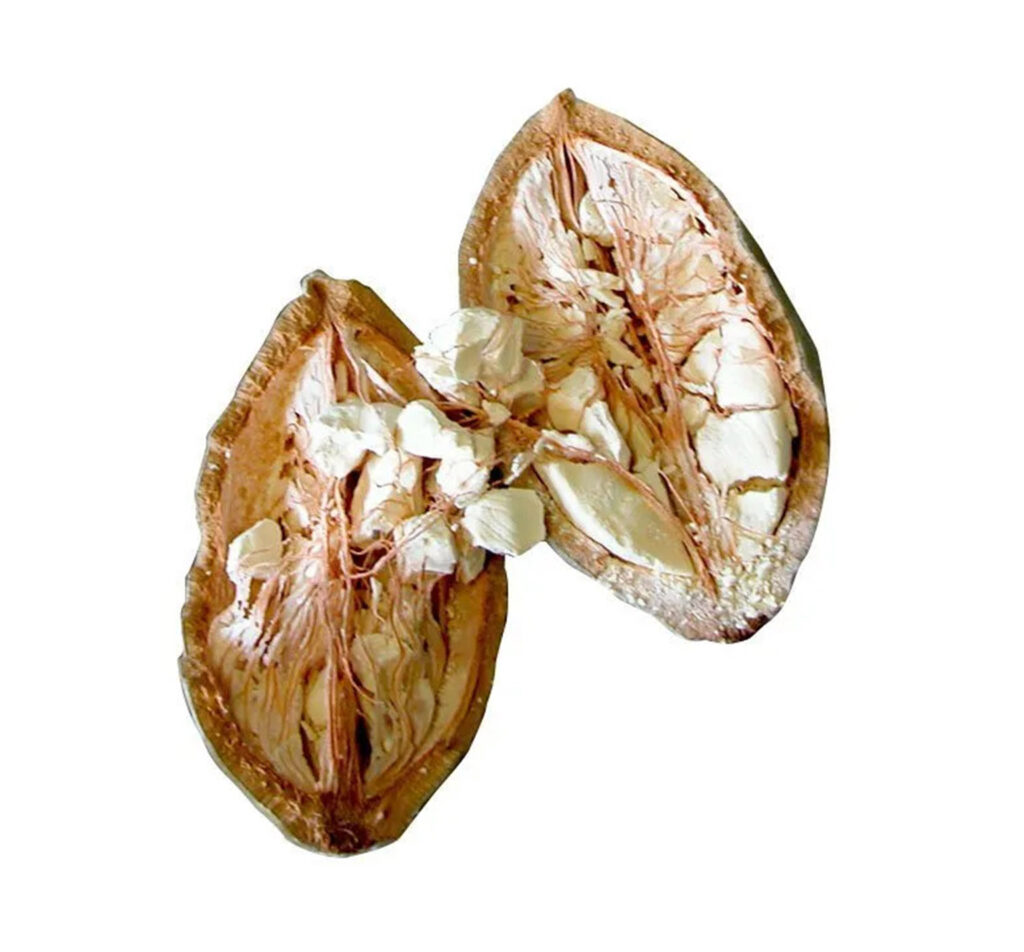 التبلدى – شركة استرال التجارية المحدودة